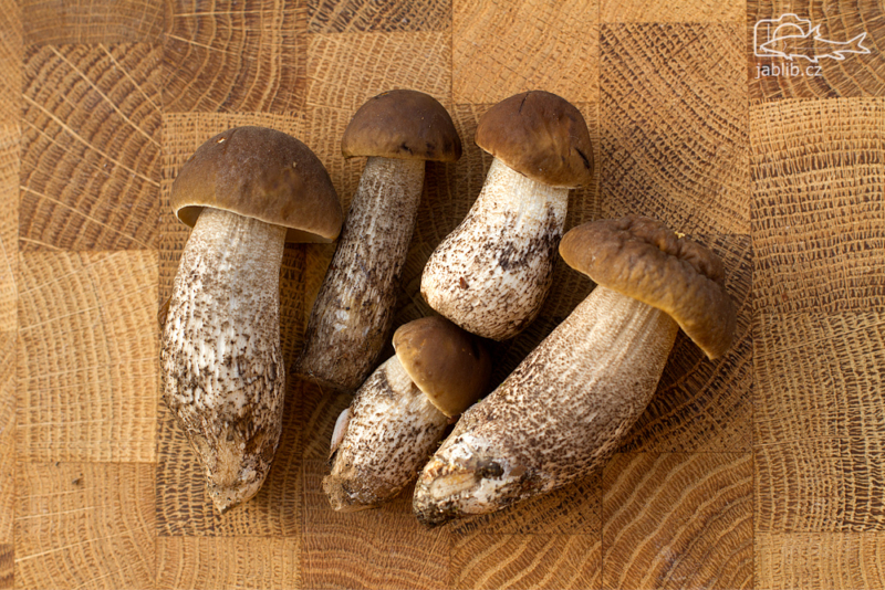 Kozák habrový (Leccinum carpini) | Houby | jablib.cz